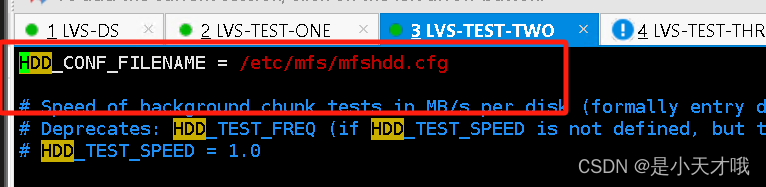 分布式存储MFS-4-MFS-ChunkServer-配置_mfs chunk server-CSDN博客