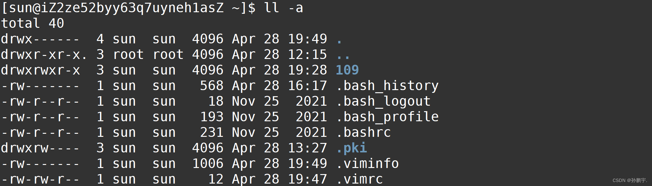 Vim快速上手指南-CSDN博客