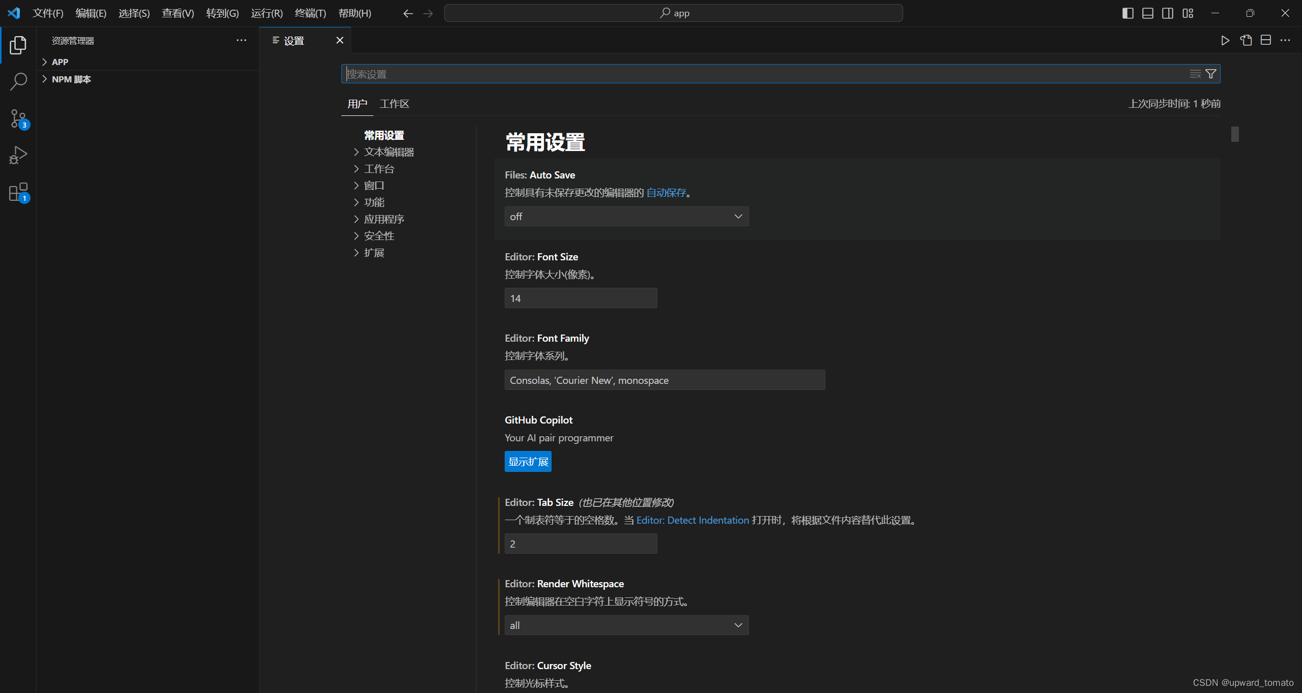 细说vscode中的settings.json，你不知道的N个技巧和注意事项-CSDN博客