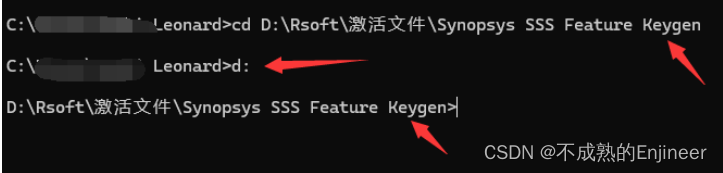 Rsoft软件安装教程-CSDN博客