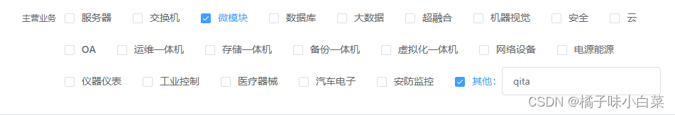 实现el-checkbox加el-input的联合使用_el-input checkbox-CSDN博客