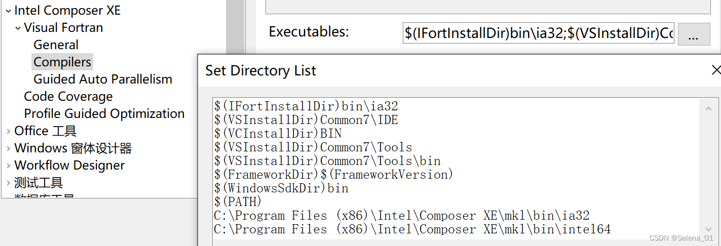 Intel MKL库在 Visual Studio 2010 + Intel Visual Fortran 2013 开发环境中的配置-CSDN博客