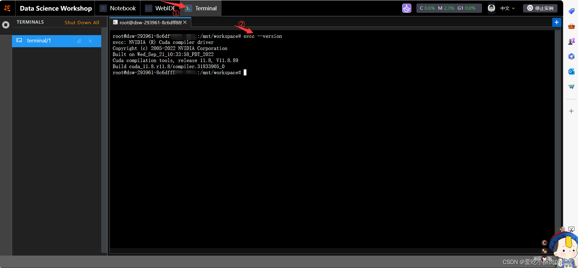 无显卡用google colab或阿里云DSW学CUDA编程的环境配置教程_没有gpu的电脑如何创建cuda的环境-CSDN博客
