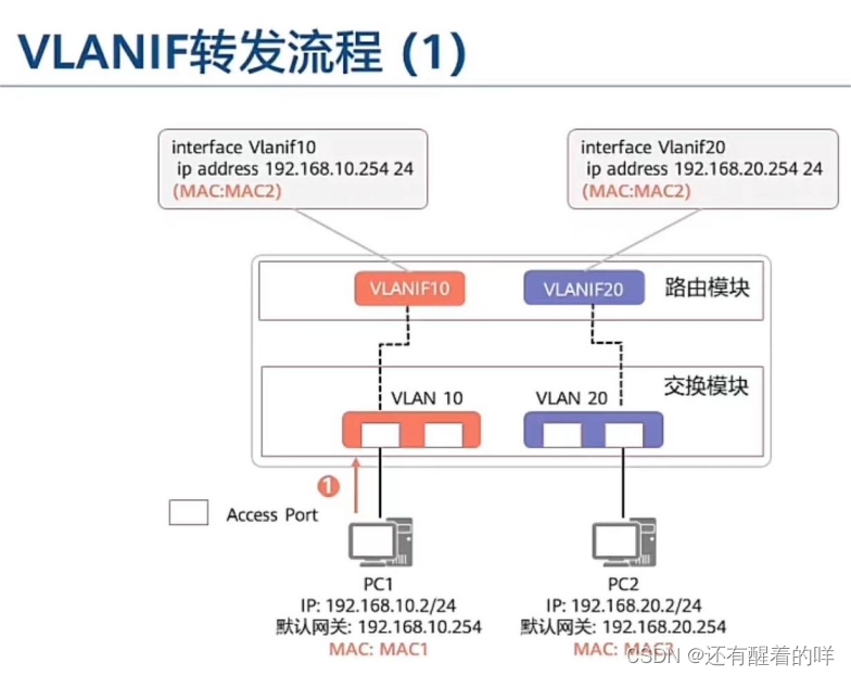 【HCIP学习】VLAN技术_同一交换机tag-CSDN博客