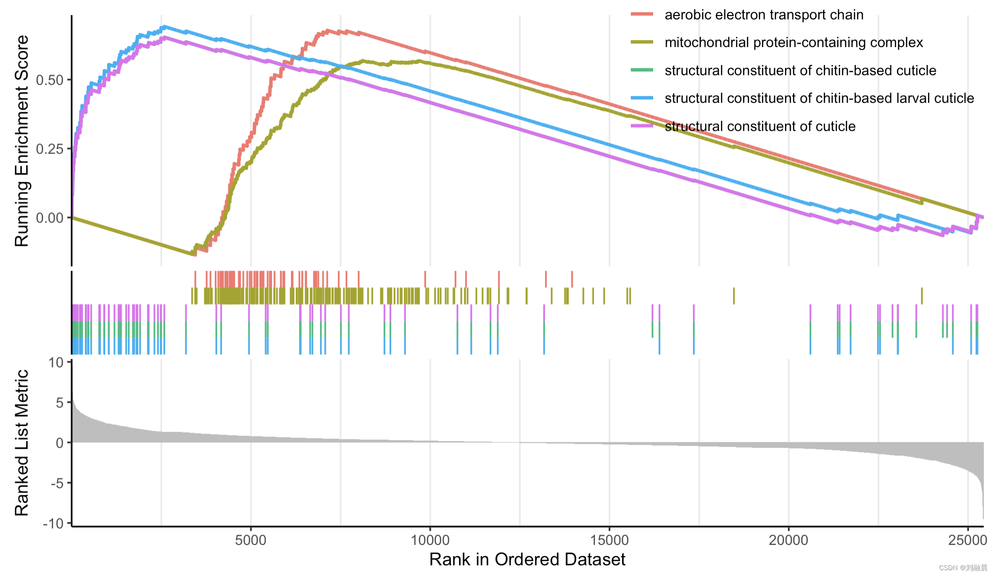 非模式生物自建库后进行GSEA分析_非模式物种gsea-CSDN博客