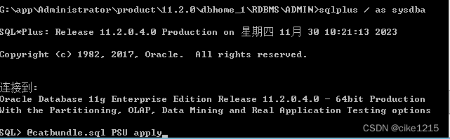 windows上oracle11g安装补丁（patches）_如何下载oracle11补丁包-CSDN博客