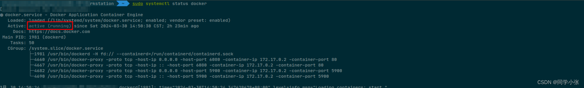 【多系统解决方案】赶紧丢掉虚拟机吧，Docker + VNC 让你更加轻松拥有多系统_vnc docker-CSDN博客