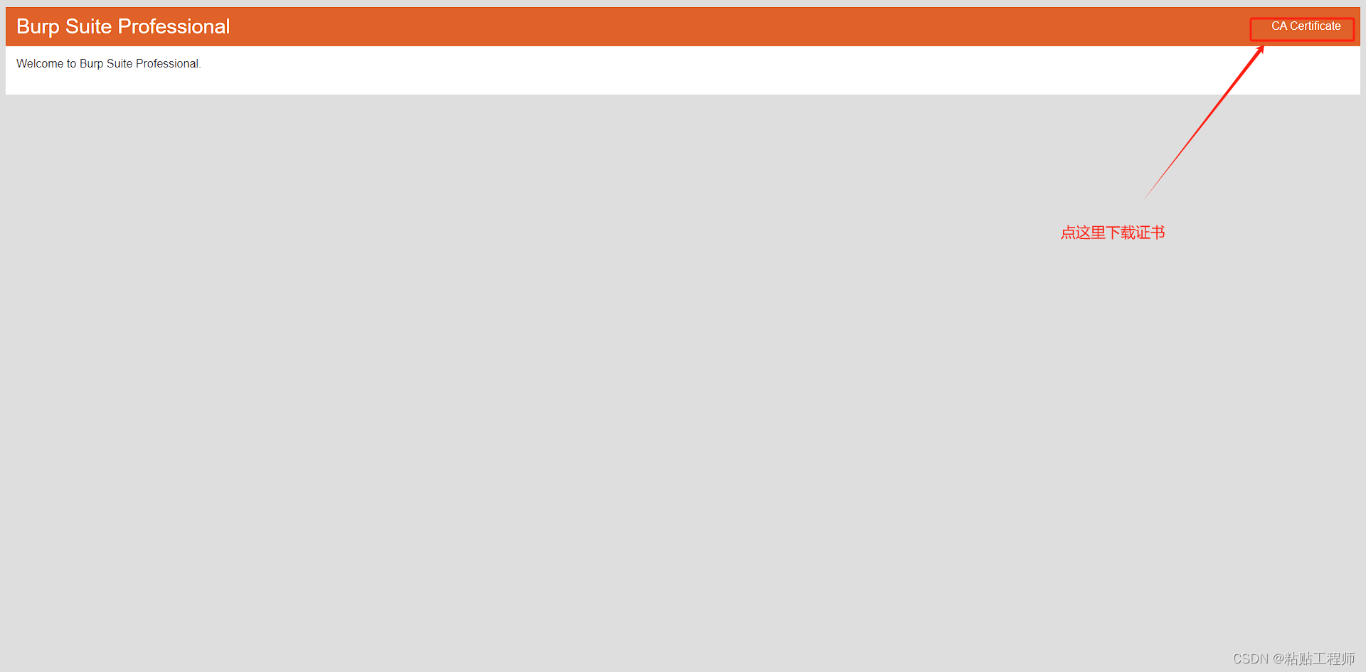 2024抓包web、模拟器app、小程序_yakit抓包教程-CSDN博客
