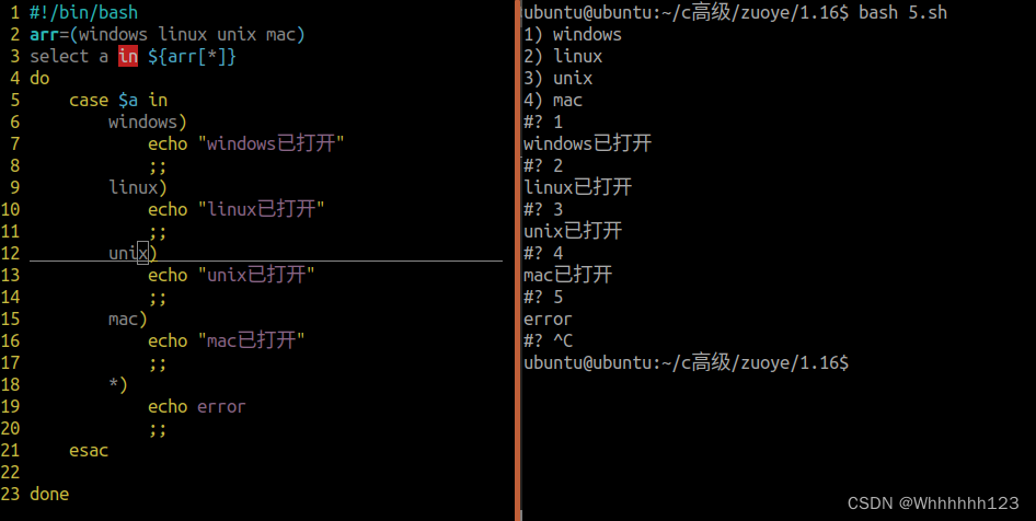 C高级day4作业-CSDN博客