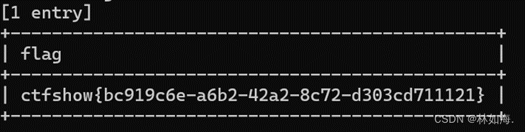 ctfshow web7-CSDN博客