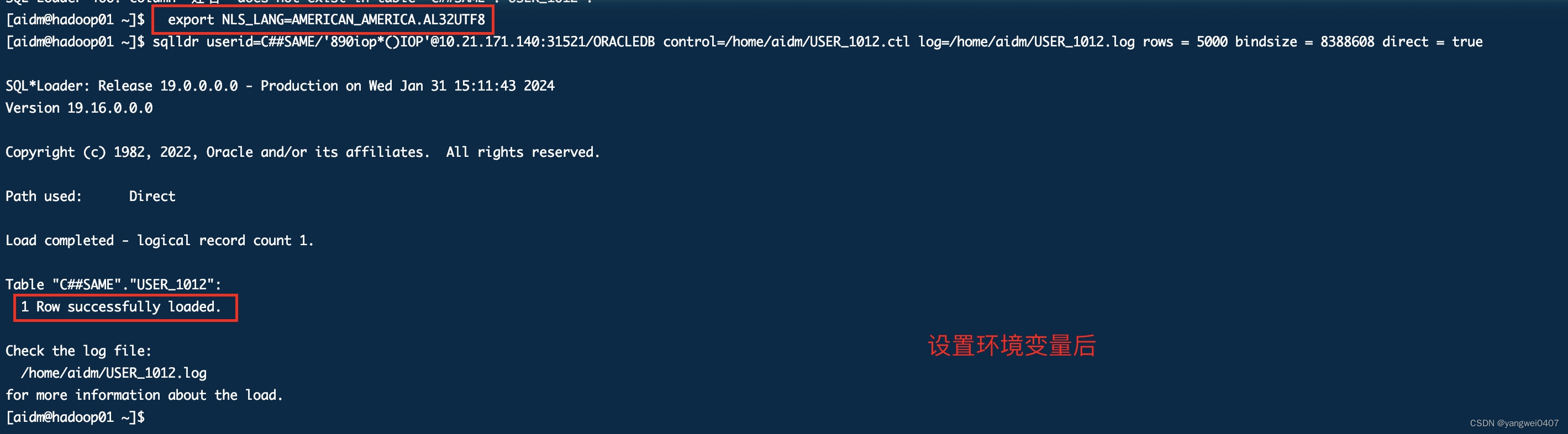 oracle sqlldr命令安装-CSDN博客
