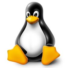 Linux 删除SSH密钥(id_ed25519)，重新生成_ssh-ed25519-CSDN博客