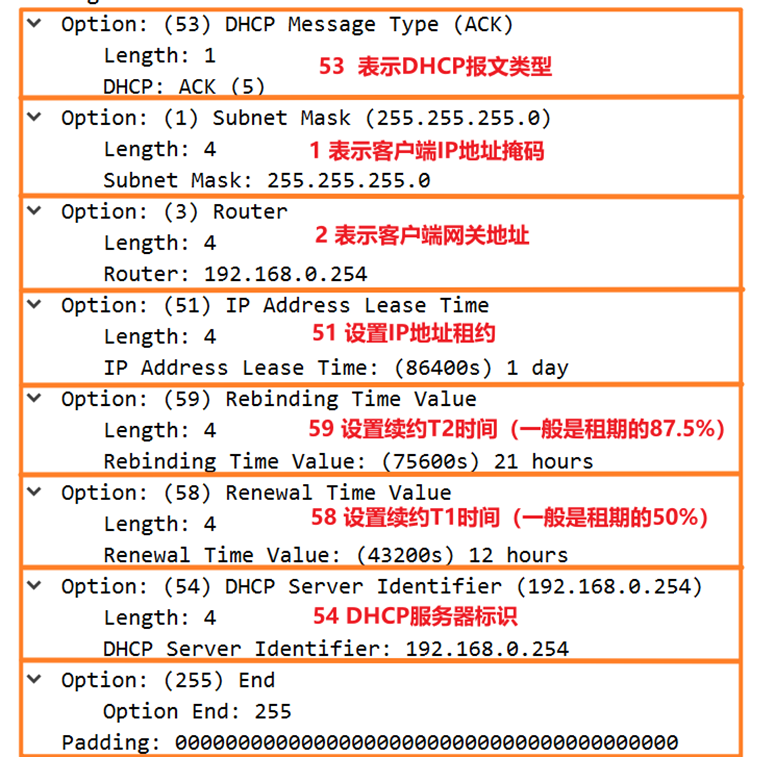 DHCP与DHCPv6讲解（DHCP报文格式、DHCP中继、DHCP攻击）-CSDN博客