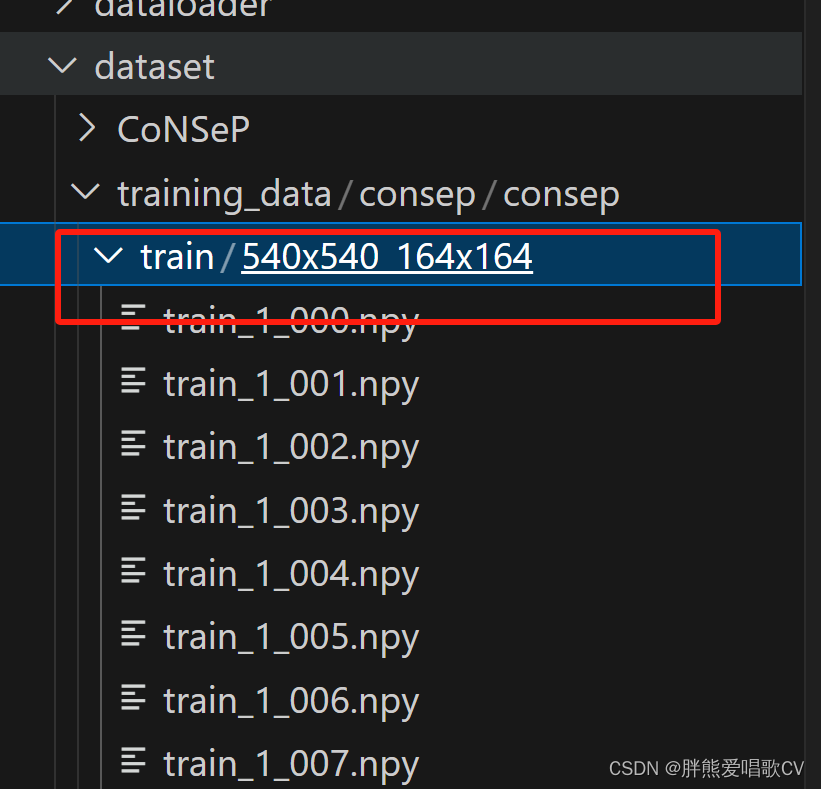 Hovernet代码复现-CSDN博客