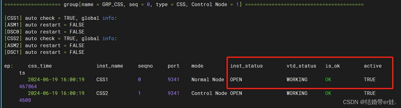 达梦数据库DSC集群的启停操作_达梦dsc启动服务-CSDN博客