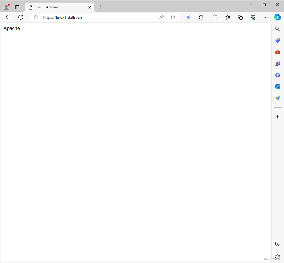 22年国赛正式题（服务）_cp -a named.localhost named.skills cp -a named.loo-CSDN博客