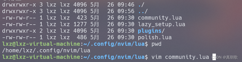 开发环境分享——AstroNvim（neovim的下载和Astronvim的配置）-CSDN博客