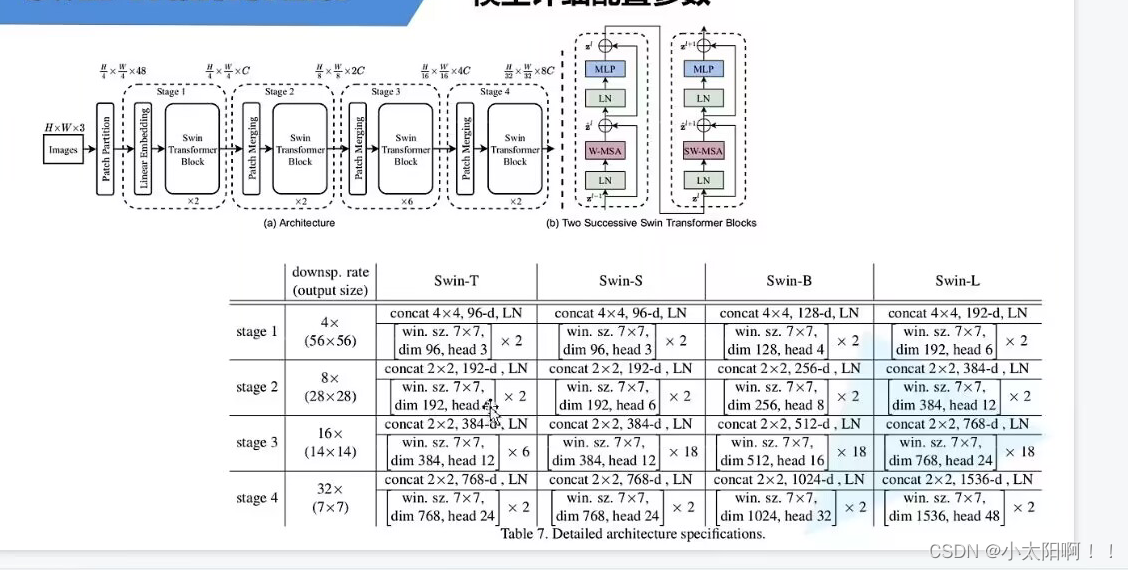 SwinTransformer模型及代码解读_swin transformer代码-CSDN博客