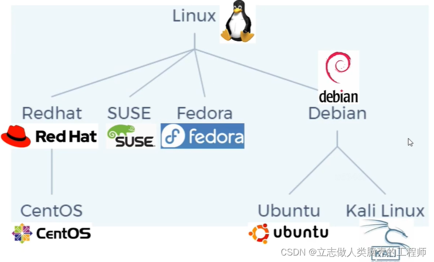 【基础期】Linux系统结构_linux分支-CSDN博客