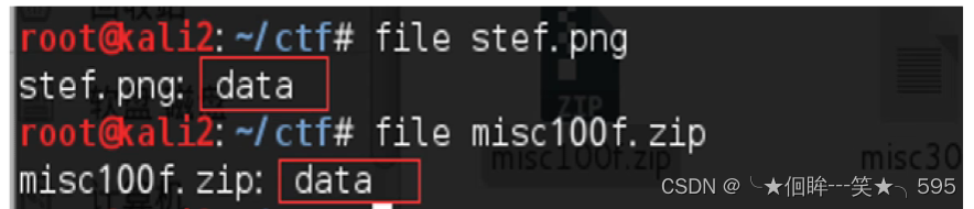 文件隐写(CTF隐写)_ctf txt文件隐写-CSDN博客