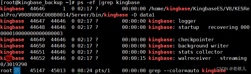 人大金仓 Kingbase命令行基础部署+主从_kingbase 主从复制-CSDN博客