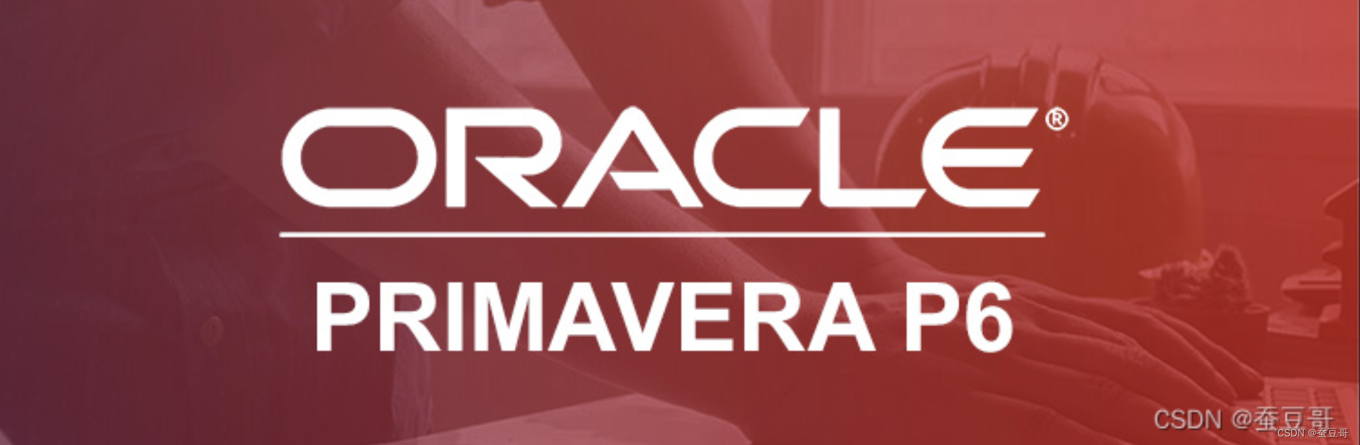 ORACLE Primavera P6 EPPM 在线学习/测试环境分享_primavera p6 professional 教程 下载-CSDN博客