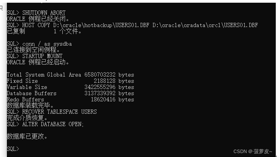 Oracle数据库实验总集 实验八 Oracle 数据库备份与恢复实验8oracle Csdn博客