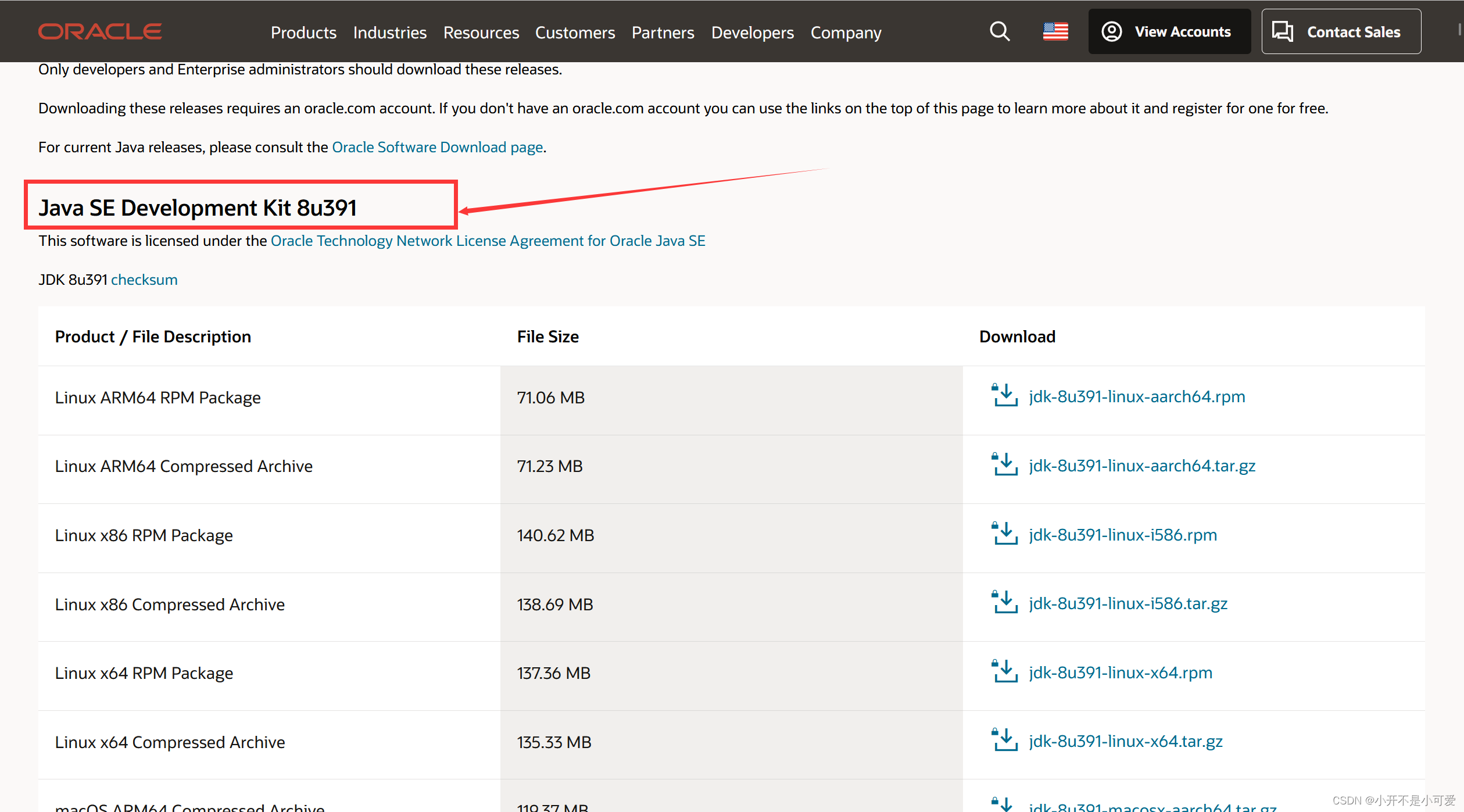 win11安装Java环境详细教程_win11 java环境配置-CSDN博客