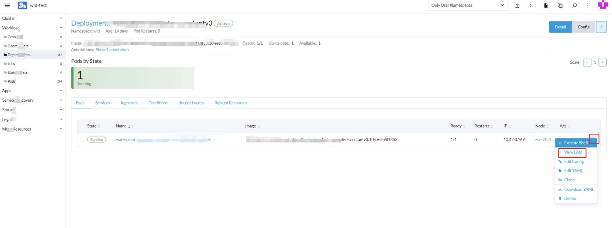 怎么使用rancher 查项目的logging_rancher怎么查看日志-CSDN博客