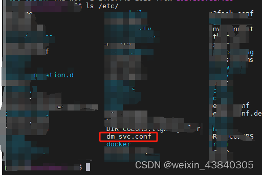达梦的dm_svc.conf的配置_达梦 switchtimes-CSDN博客
