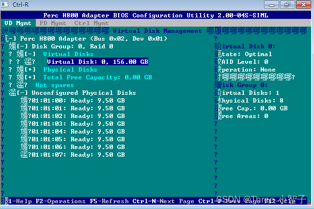 Dell PERC H700和PERC H800 Ctrl-R仿真器工具_perc模拟器下载-CSDN博客