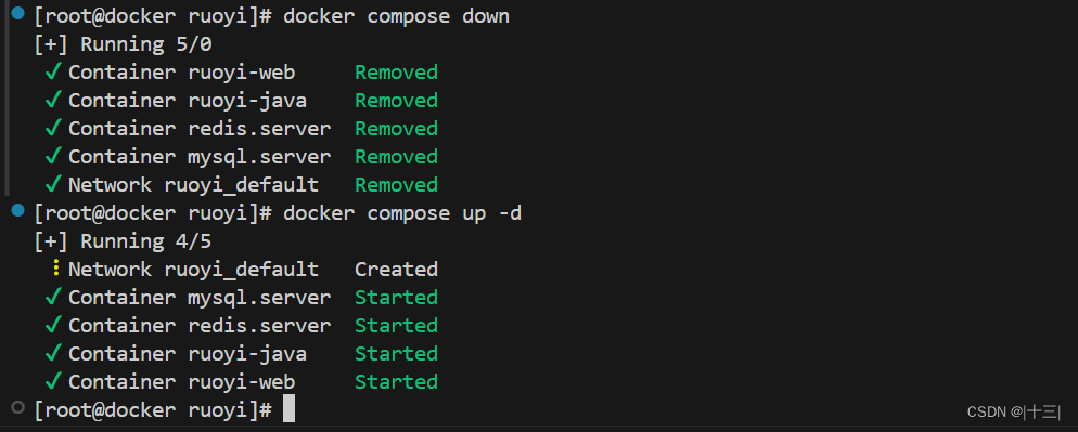 docker 部署Ruoyi 项目_若依 部署在docker里-CSDN博客