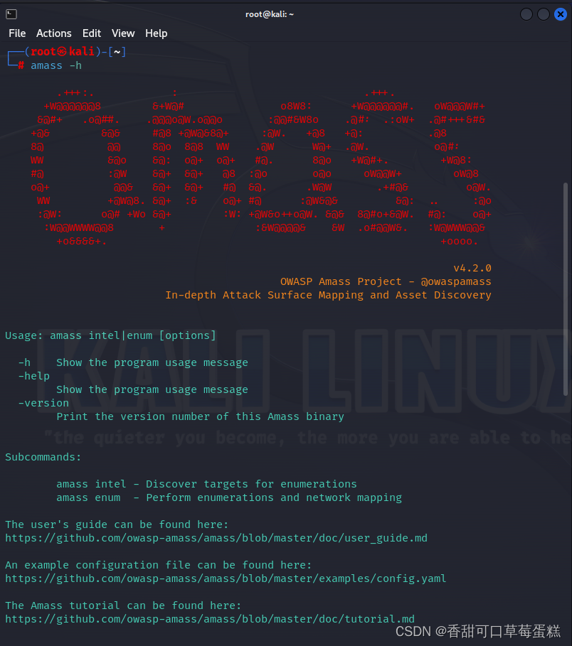 子域名收集神器：Amass 保姆级教程（附链接）_amass工具-CSDN博客