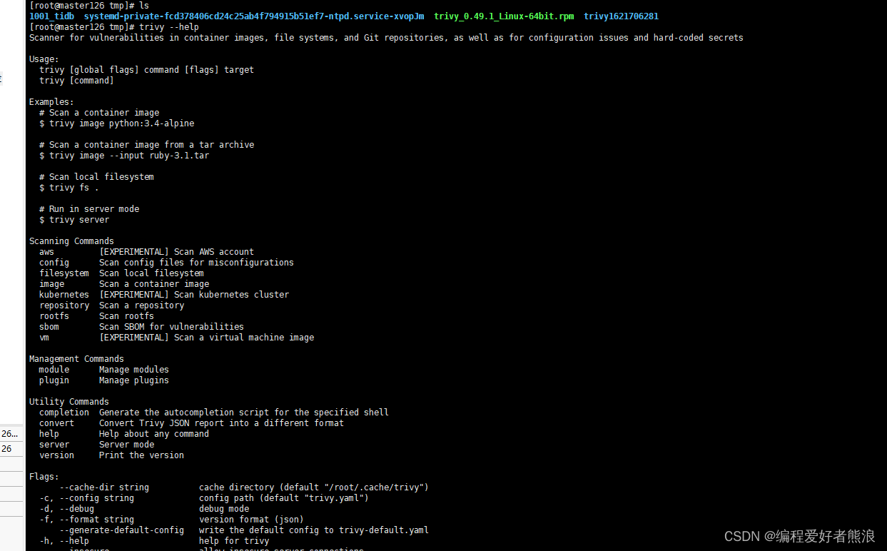 Trivy漏洞扫描工具安装_trivy安装-CSDN博客