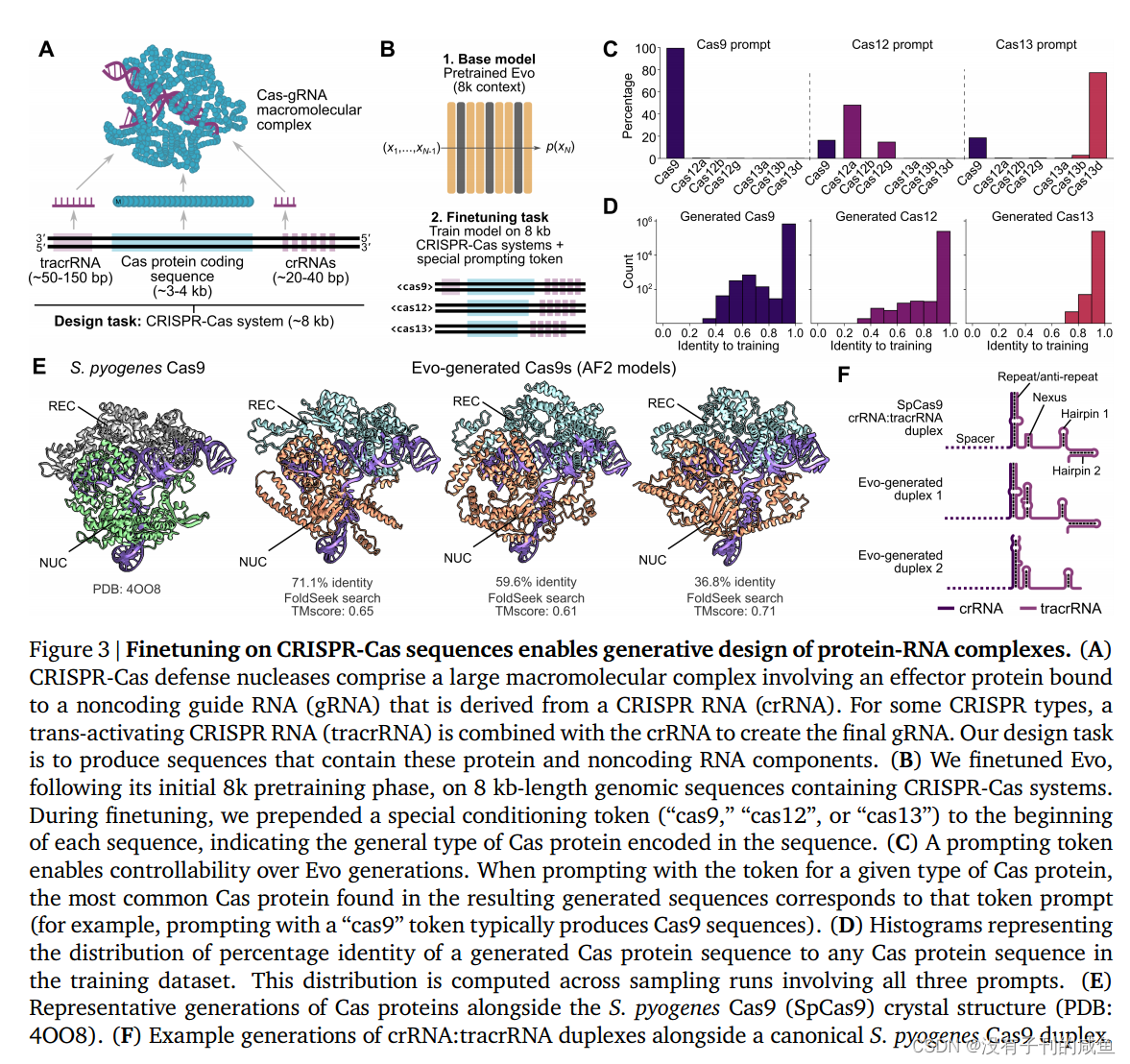 论文阅读笔记(三)——EVO:Sequence modeling and design from molecular to genome scale with Evo-CSDN博客