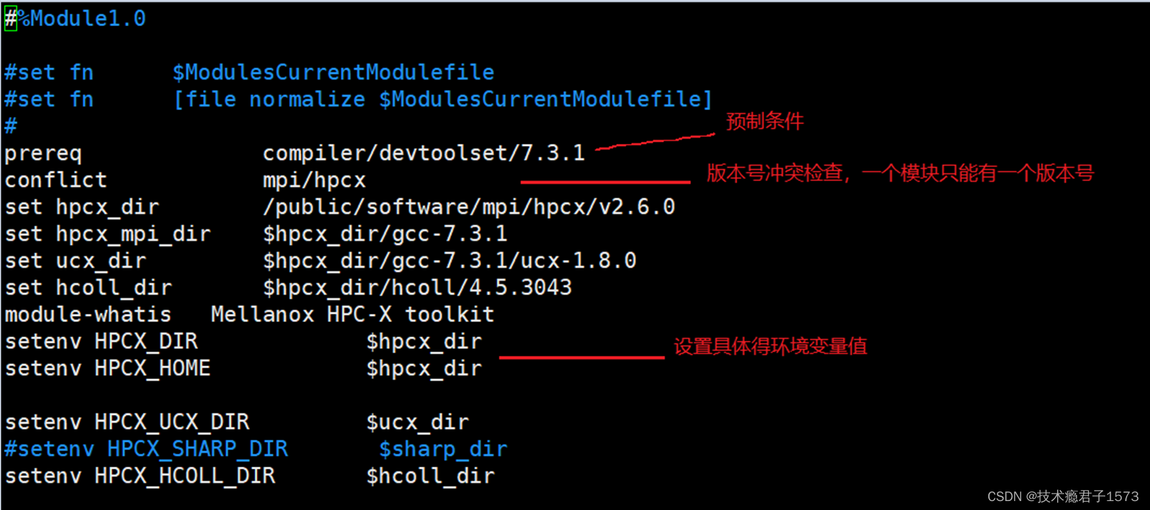 Linux基础-module命令使用（理论+实战）_linux module-CSDN博客