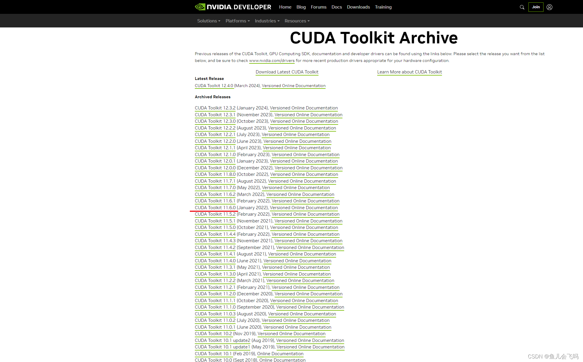 下载CUDA Toolkit 11.6.0_cuda 11.6 驱动下载-CSDN博客