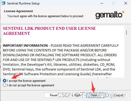 Rsoft软件安装教程-CSDN博客