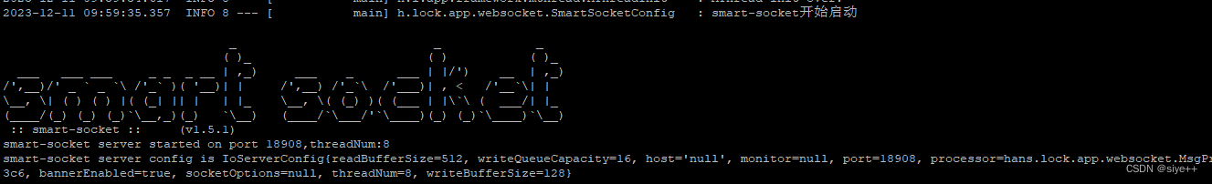 springboot 集成 smart-socket-CSDN博客