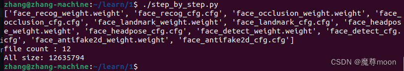 Python 多文件合并 / 二进制合并 binMerge (手把手教程)-CSDN博客
