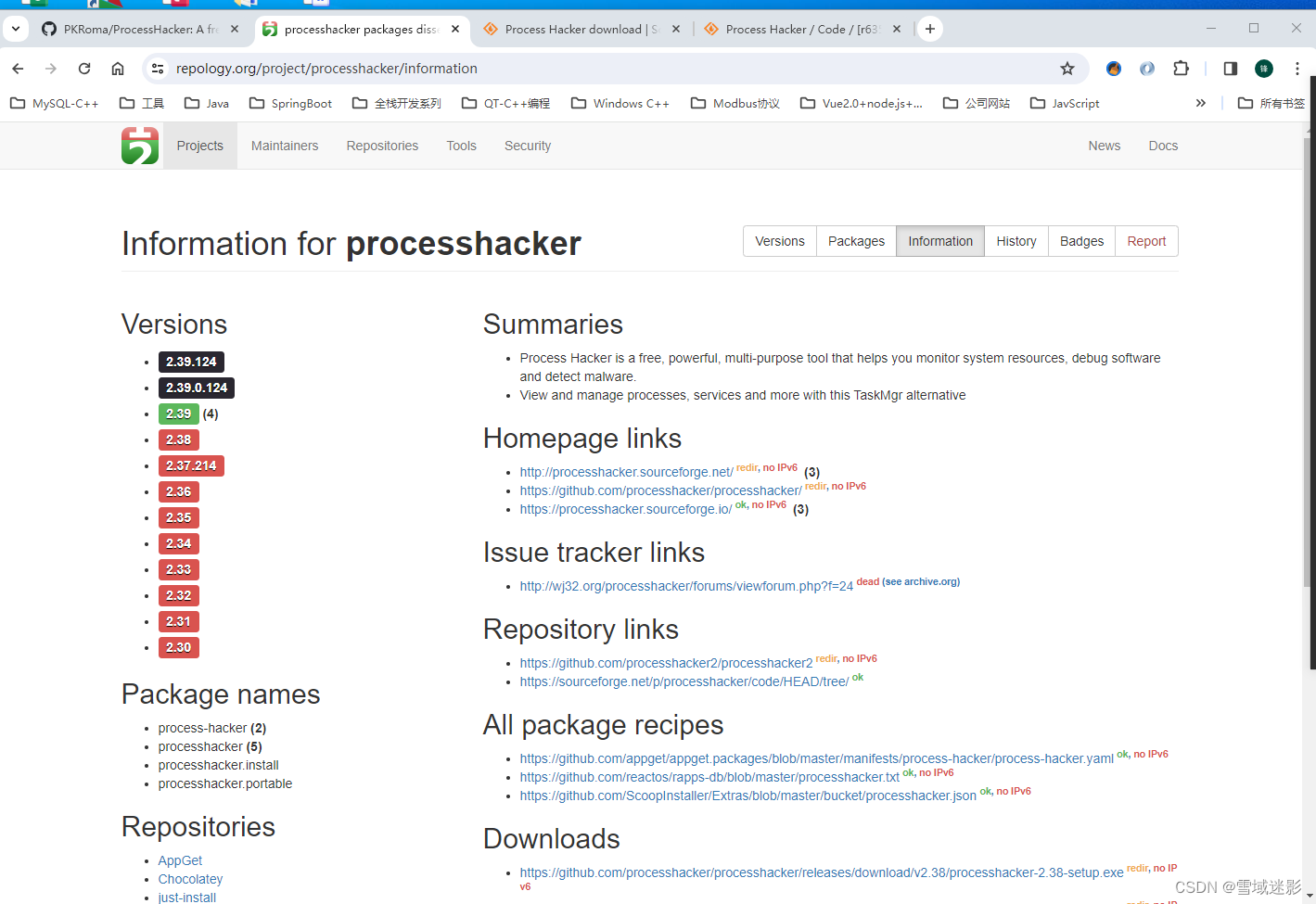 VS2022编译运行processhacker源代码_process haker github-CSDN博客