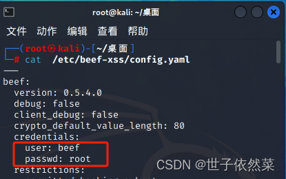 kali 中安装 beef-xss_kali下的beef-xss安装-CSDN博客