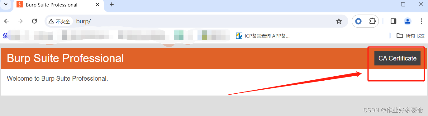 使用Burpsuite对安卓APP和微信小程序抓包教程大全（保姆级教学）_burpsuite手机抓包-CSDN博客