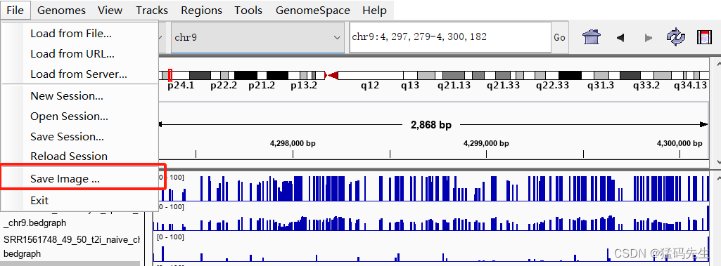 IGV图片如何保存为矢量图_igv导出图-CSDN博客