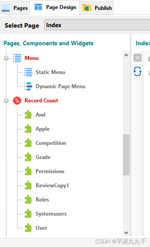 radsystems教程的基本使用之基本使用_rad studio开发教程-CSDN博客