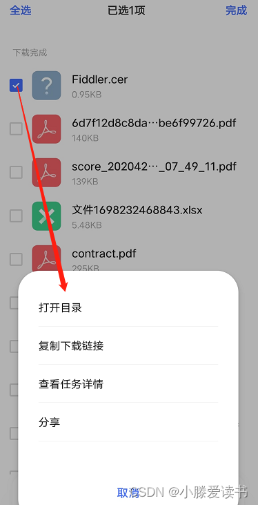 Fiddler下载和汉化_fiddler汉化-CSDN博客