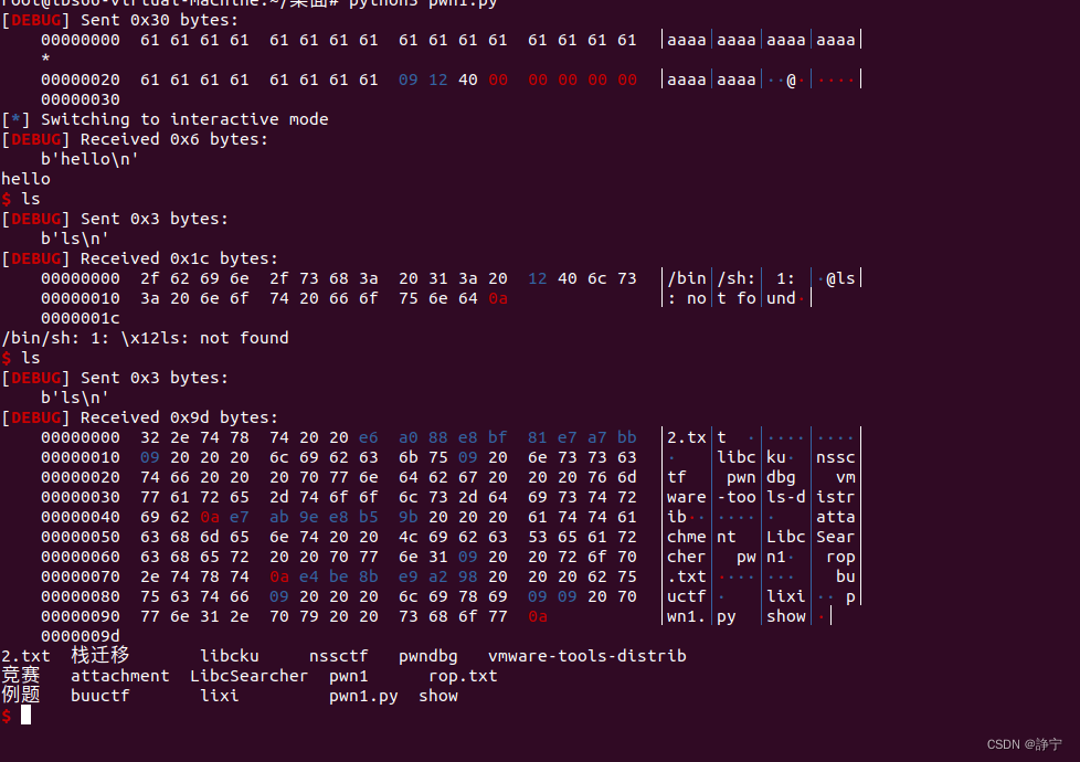 栈溢出，ret2libc和自动化rop链_rop和ret2libc-CSDN博客