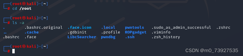 全新kali搭建pwn环境（超详细截图）_kali pwn-CSDN博客
