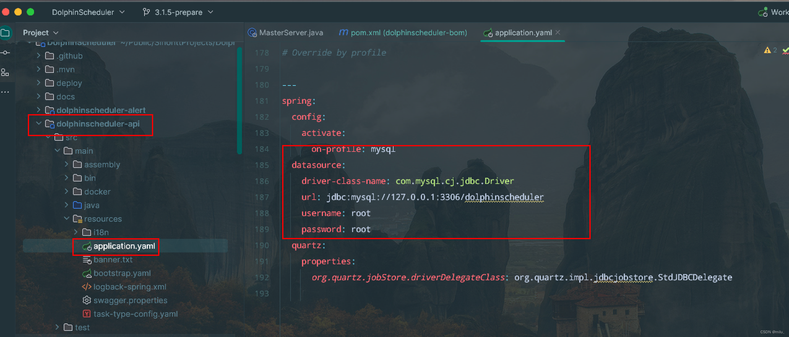 DolphinScheduler分布式调度系统二开 - 编译、打包、部署_dolphinscheduler 二次开发-CSDN博客