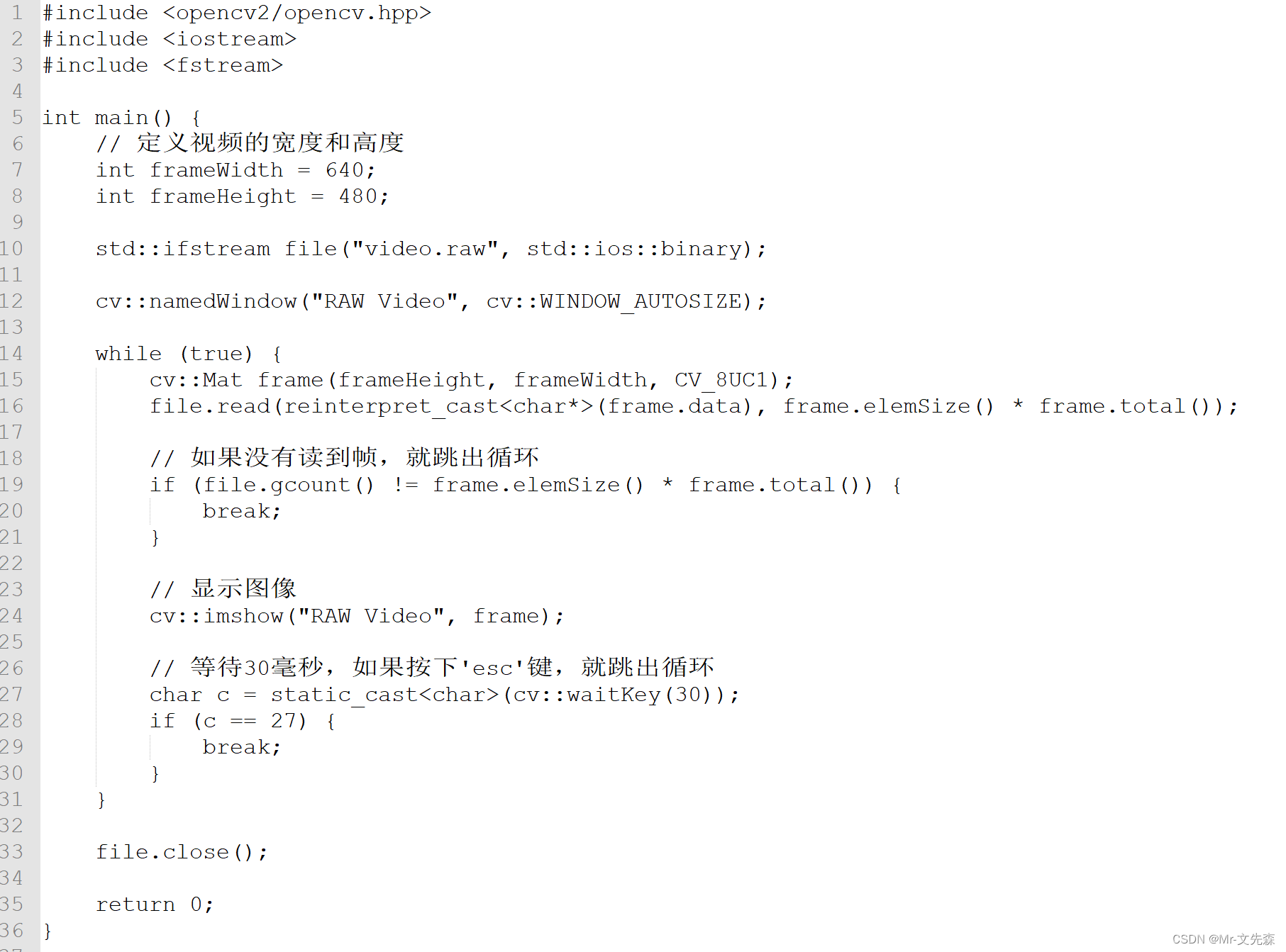 C++ opencv播放raw格式视频_raw视频打开-CSDN博客